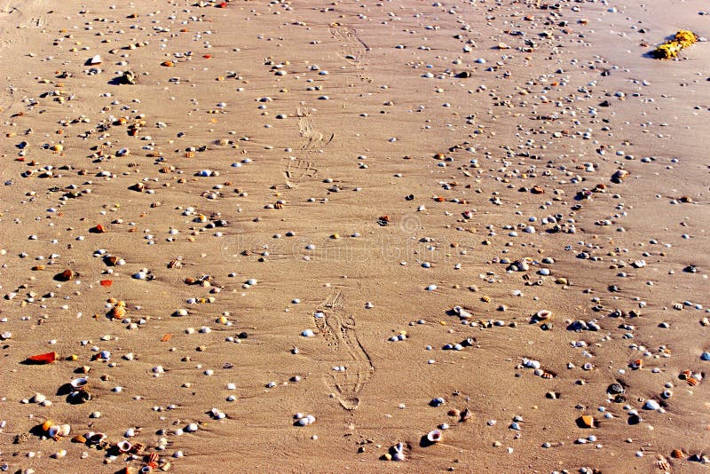 Gibraltar stock image. Image of shells, algeciras, ship - 46650359