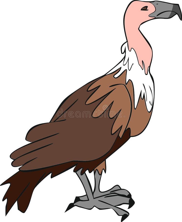 De tekening van de gier stock illustratie. Illustration of artistiek ...