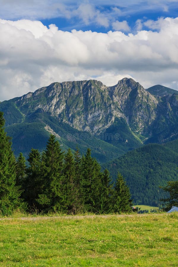 Giewont from Gubalowka. stock image. Image of trees, grass - 26489863