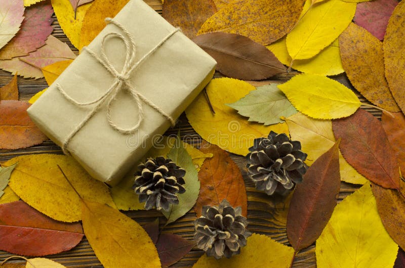 Gift Box on Colored Autumn Leaves Background Stock Image - Image of ...