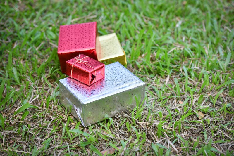 Gift Box floor grass stock photo. Image of holiday, garden - 107340068