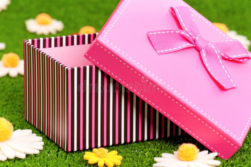 Gift box on grass stock photo. Image of holiday, grassy - 31161002