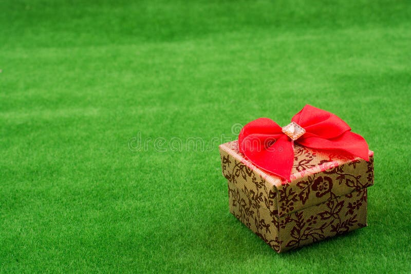 Gift box on grass stock photo. Image of celebration, festive - 72062360