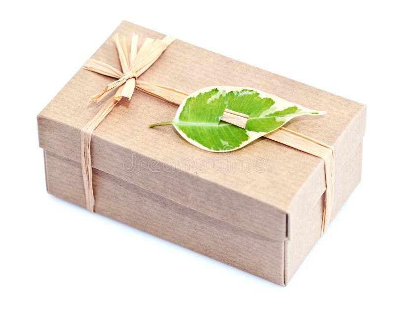Gift box with green leaf stock image. Image of green - 21071807