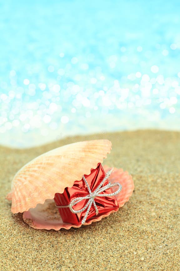 Gift box in a sea shell stock image. Image of madagascar - 26391251