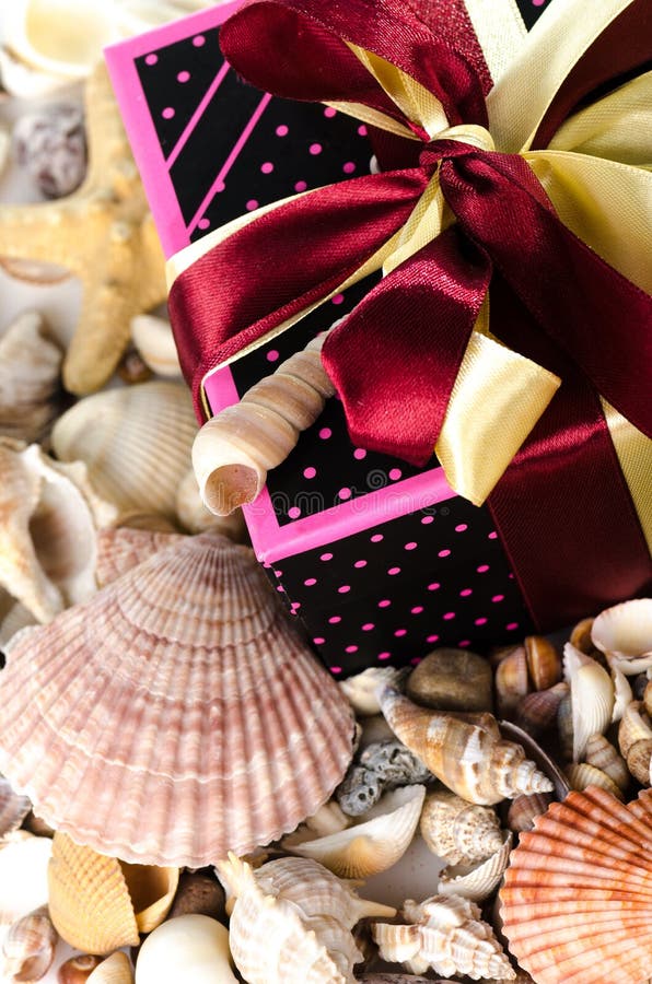 Sea gift - shells stock photo. Image of pure, shells, gifts - 55844