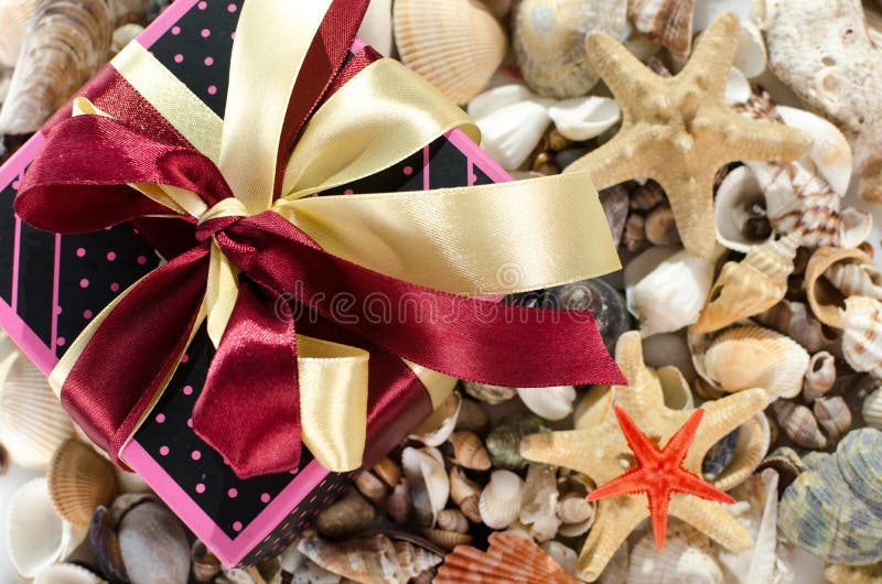Sea gift - shells stock photo. Image of pure, shells, gifts - 55844