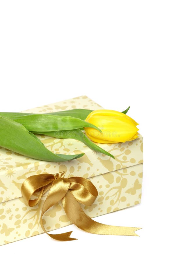 Gift box and tulip stock photo. Image of shiny, celebration - 23802444