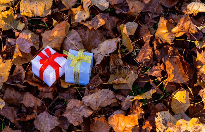126 Fallen Boxes Stock Photos - Free & Royalty-Free Stock Photos from ...