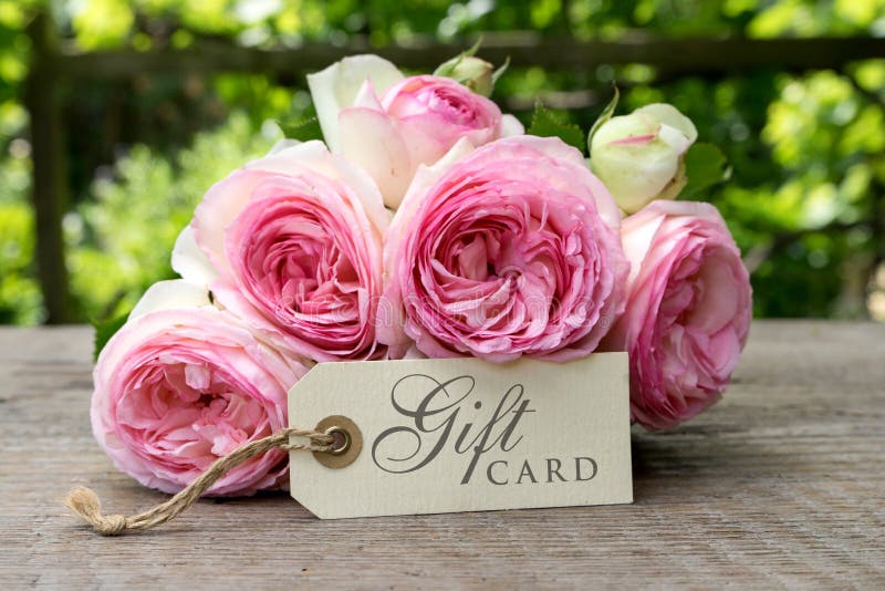 Gift Certificate with Pink Roses Stock Photo - Image of font, romance ...