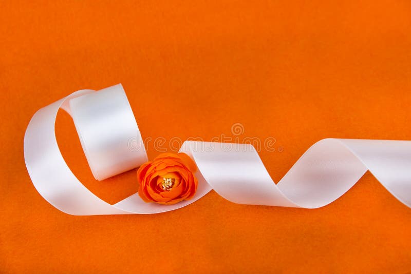 Gift Orange Ribbon. Ribbon and Flower. White Ribbon on Orange ...