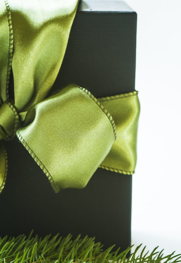 Gift in the Package with Ribbon Stock Image - Image of seasonal, santa ...