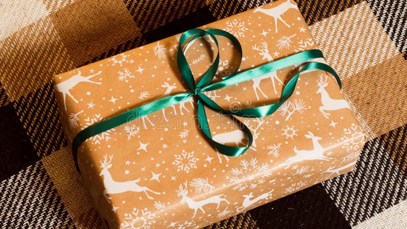The Gift is Packed in a Beautiful Box on a Brown Blanket Stock Image ...