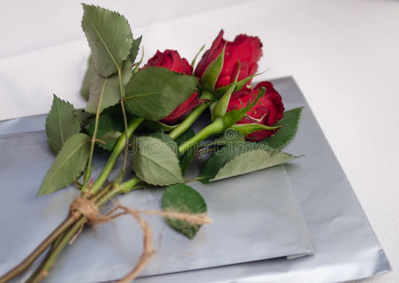 A gift of red roses stock photo. Image of flowers, gift - 165639008
