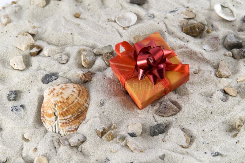 Gift in the Sand with Seashell Stock Image - Image of vacation, ocean ...