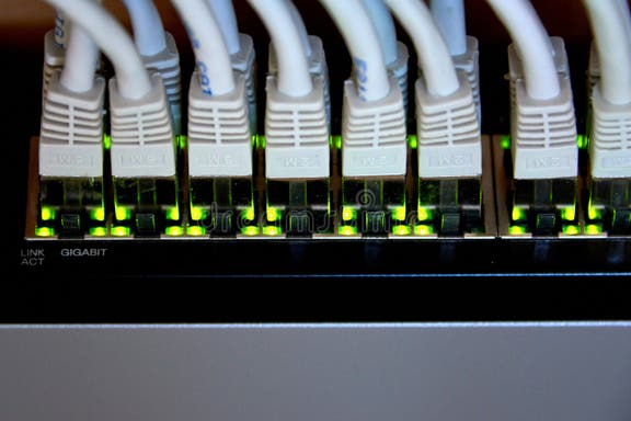 Gigabit Ethernet Connection Stock Photo - Image of cat6, port: 99974852