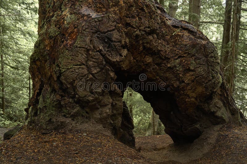 451 Gigantic Arch Stock Photos - Free & Royalty-Free Stock Photos from ...