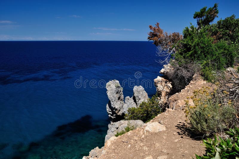 Giglio Island, Ocean View, Italy Stock Photo - Image of forest ...