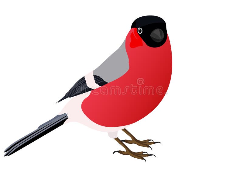 Gil ilustracji. Ilustracja złożonej z rysowanie, natura - 19533861