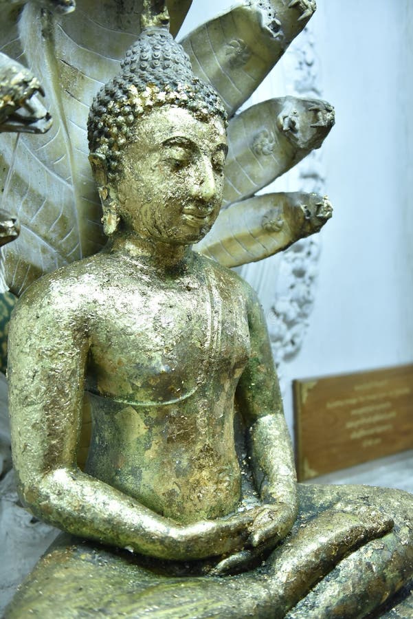 The Gilded Buddha the Post-fire Naga Was Beautiful. Stock Photo - Image ...