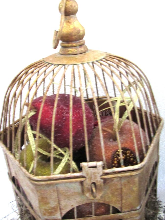 Gilded cage stock photo. Image of glass, food, sculpture - 250285556