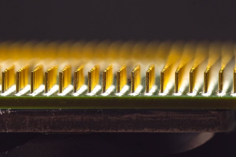Gilded Computer Processor Contacts Stock Image - Image of micro, gilded ...