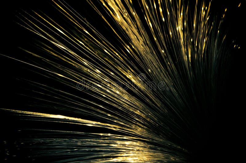 Gilded Illuminated Led Strands Radiating Upwards Stock Image - Image of ...