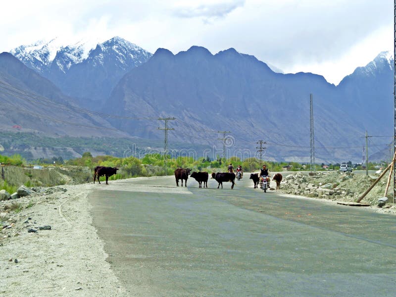 Road Towards Gilgit, District Capital of Gilgit-Baltistan, Pakistan ...