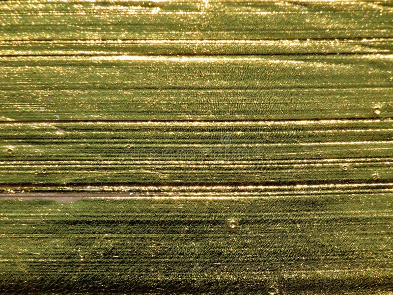 Gilt edge of a book stock photo. Image of handmade, edge - 182191322
