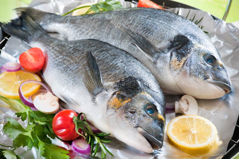 Gilt-head stock image. Image of healthy, culinary, food - 18726705