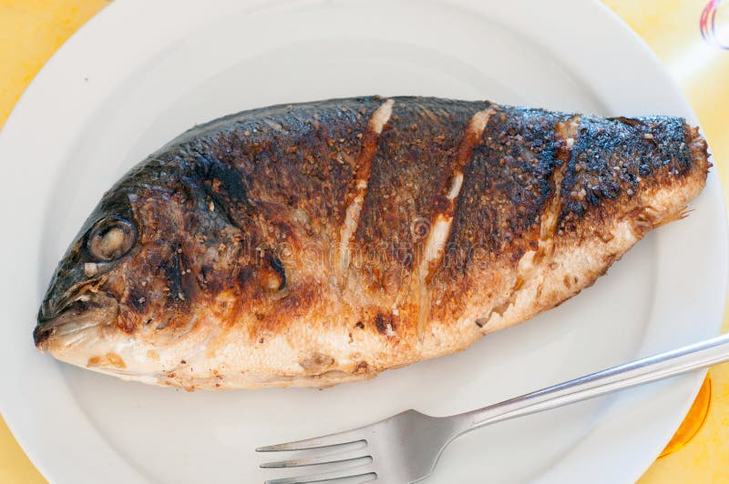 Gilt-head bream stock image. Image of baked, gilt, dorada - 33075397