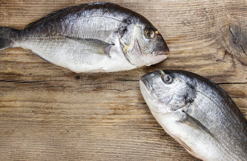 Gilt-head Bream Fish on Wooden Background Stock Photo - Image of ...