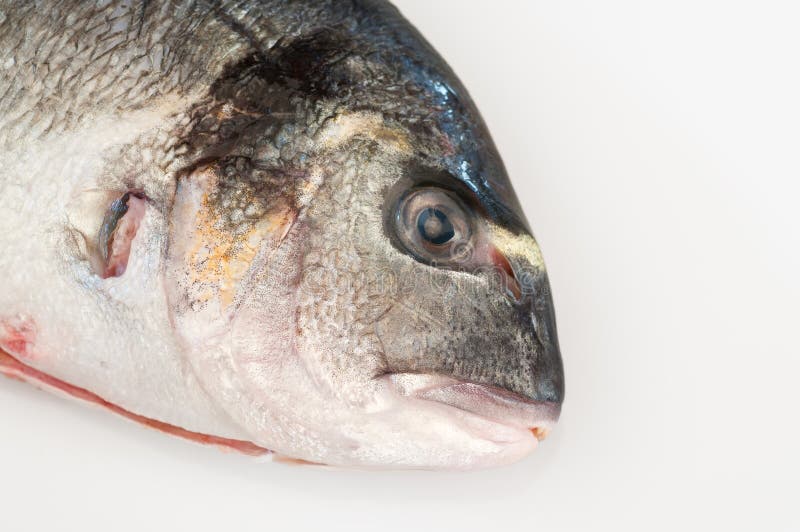 Gilt head fish stock image. Image of ingredients, background - 32144903