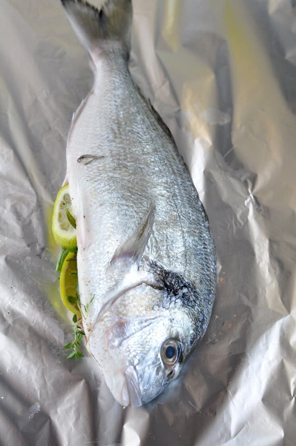 Gilt head Sea bream Fish stock photo. Image of black - 32381230