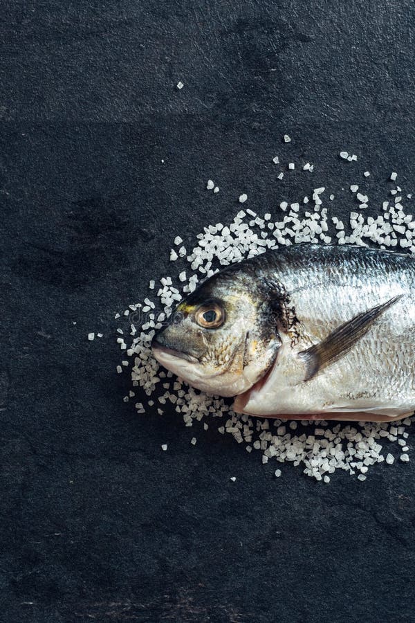 Gilthead fish stock image. Image of freshness, meal, longline - 52459125