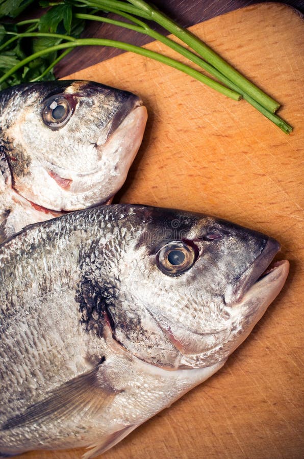 Gilthead Fishes Ready To Preparation Stock Photo - Image of fish, bream ...