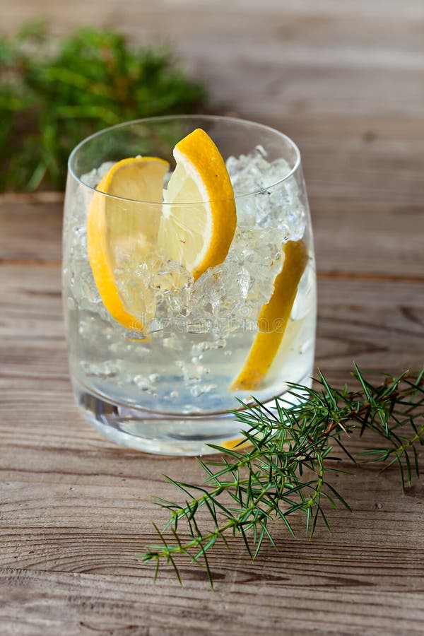 Gin with lemon and ice stock image. Image of alcohol - 45870609