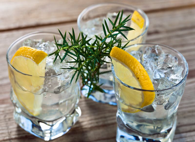 Gin with lemon and ice stock photo. Image of fresh, liquid - 42985578