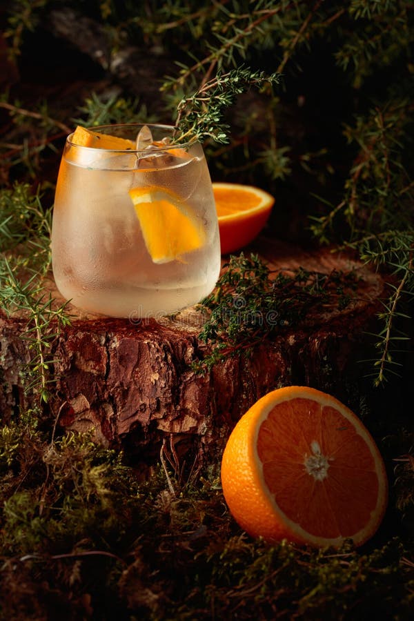 Gin and Tonic Cocktail with Orange and Thyme Stock Image - Image of ...