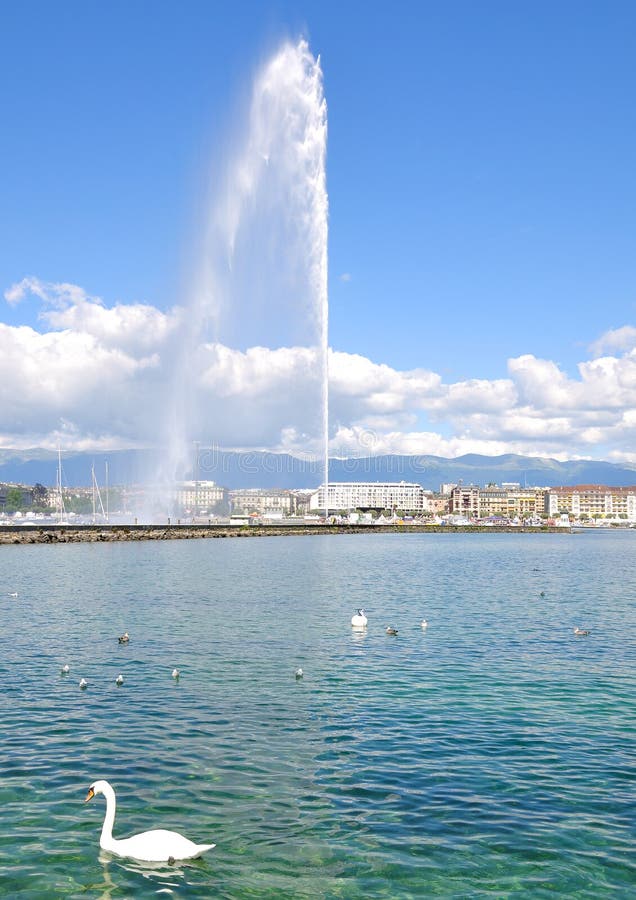 Ginevra, Il Lago Lemano, Svizzera Immagine Stock - Immagine di corsa ...