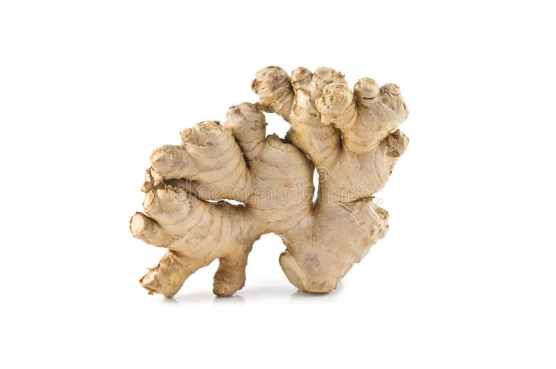 Ginger stock image. Image of vegetable, freshness, root - 13187021