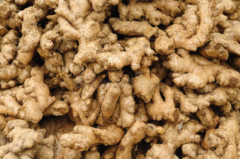 Ginger stock photo. Image of fresh, ginger, condiment - 19871640