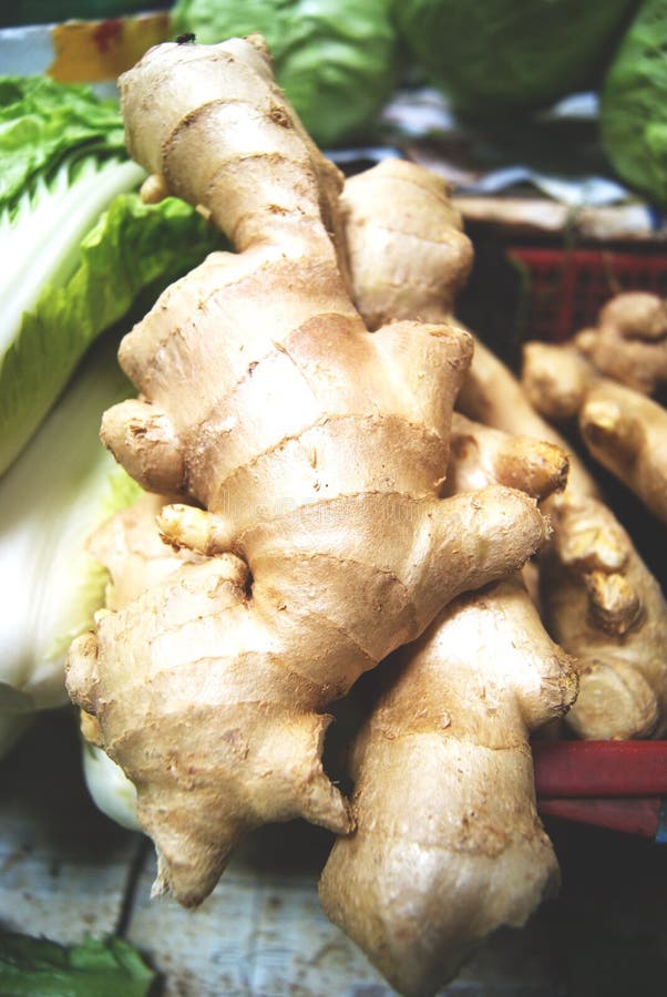 Ginger stock photo. Image of market, object, spicy, cooking - 20720606