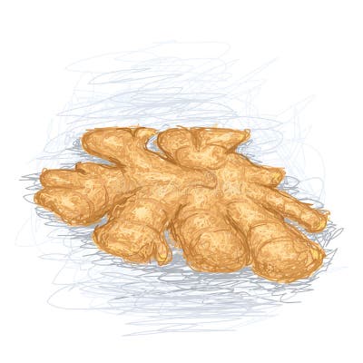 Ginger Root Cartoon Isolated Stock Illustrations – 745 Ginger Root ...