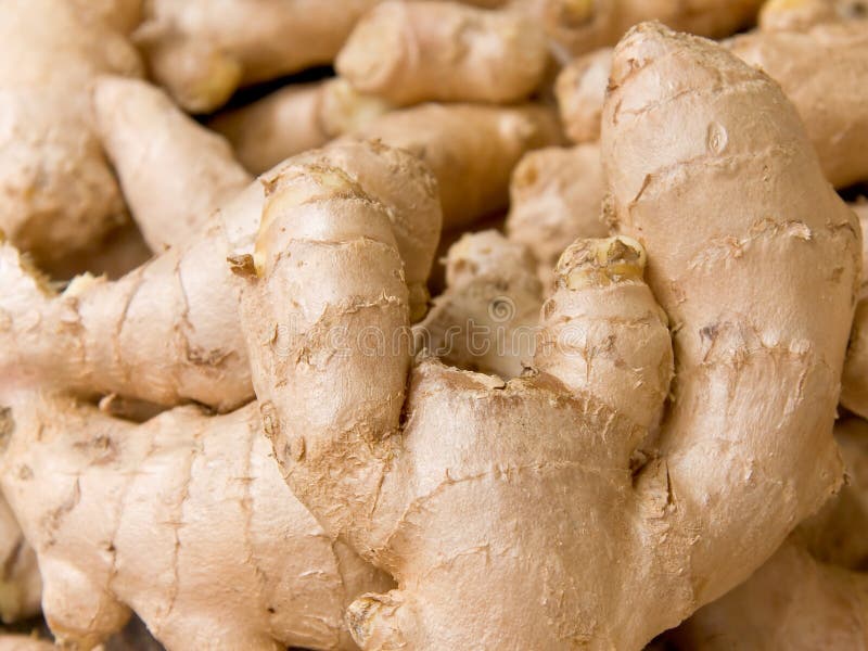 Ginger stock image. Image of vegetable, root, healthy - 9418035