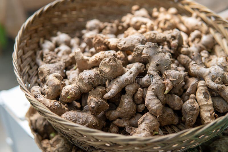 Ginger on a basket stock image. Image of flowers, ginger - 180786377
