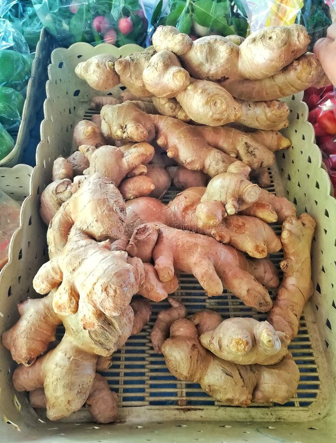 Ginger. stock image. Image of natural, nutrition, brown - 96012097