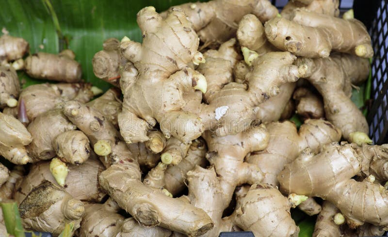 Ginger in the basket stock image. Image of asian, root - 57522221
