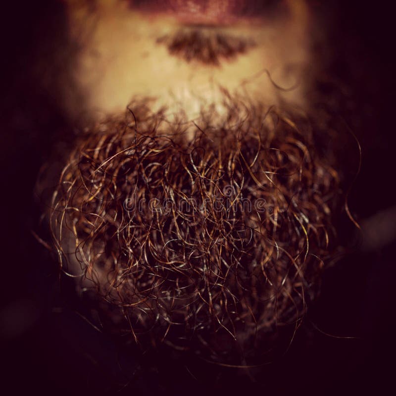 Hair Mc1r Stock Photos - Free & Royalty-Free Stock Photos from Dreamstime