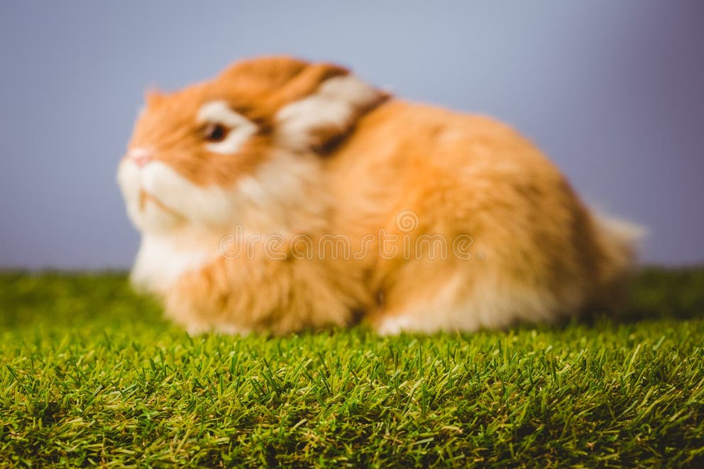 Ginger bunny rabbit stock image. Image of bunny, stuffed - 51086099